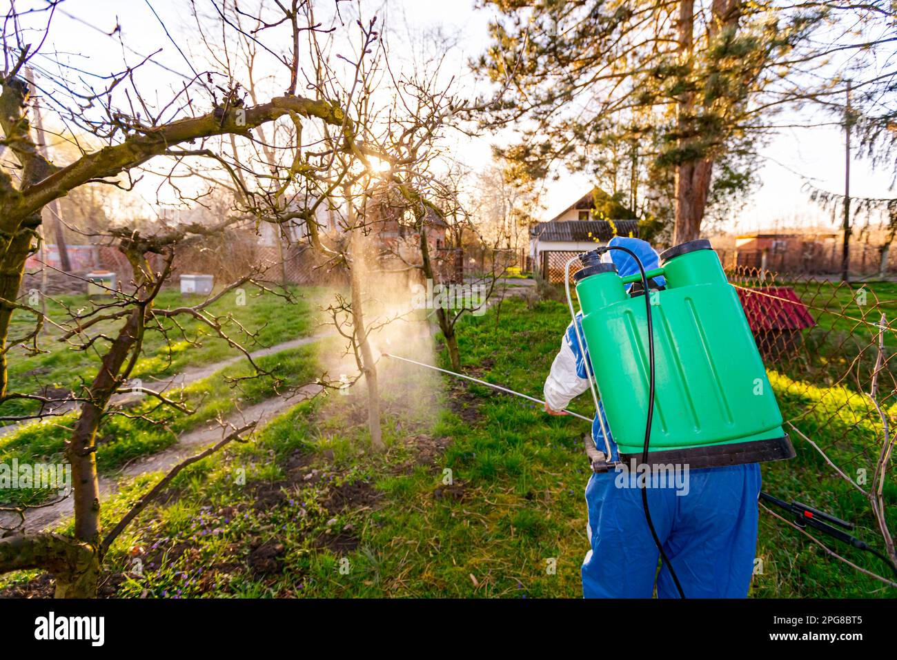 Shot from behind, backlight on farmer with protective clothing sprays ...