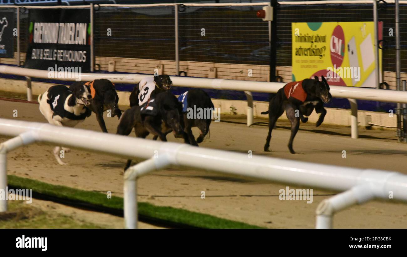 Oxford, UK. 20th Mar 2023. Salthill Orbit (black & white striped jacket ...