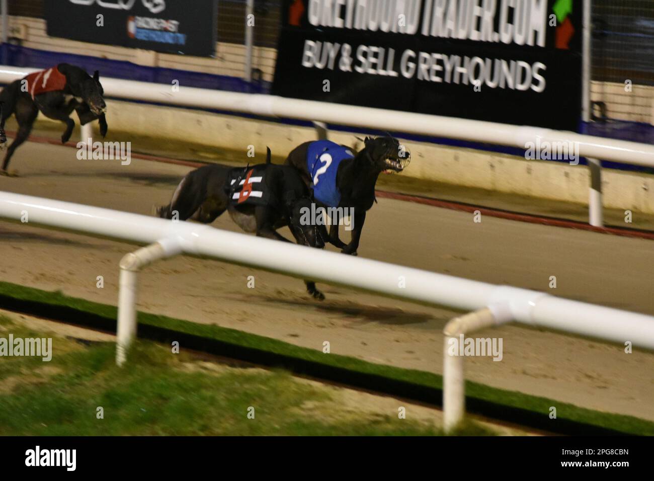 Oxford, UK. 20th Mar 2023. Salthill Orbit (black & white striped jacket ...