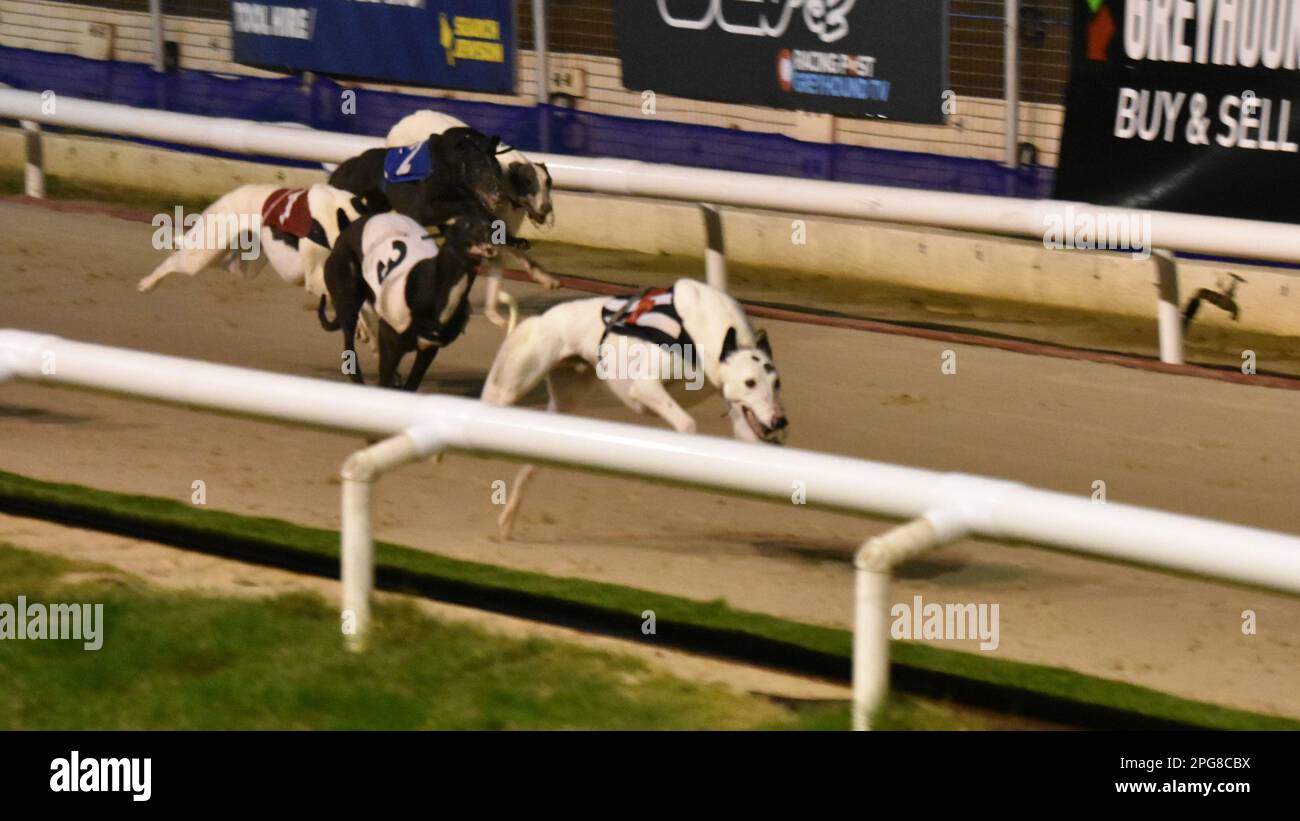 Oxford, UK. 20th Mar 2023. Dysert Paidi (black & white striped jacket ...