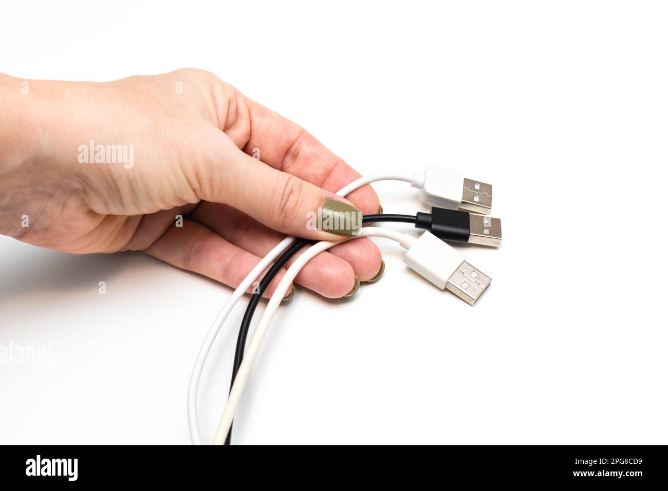 female hand holding wires on a white background. hand holding computer ...