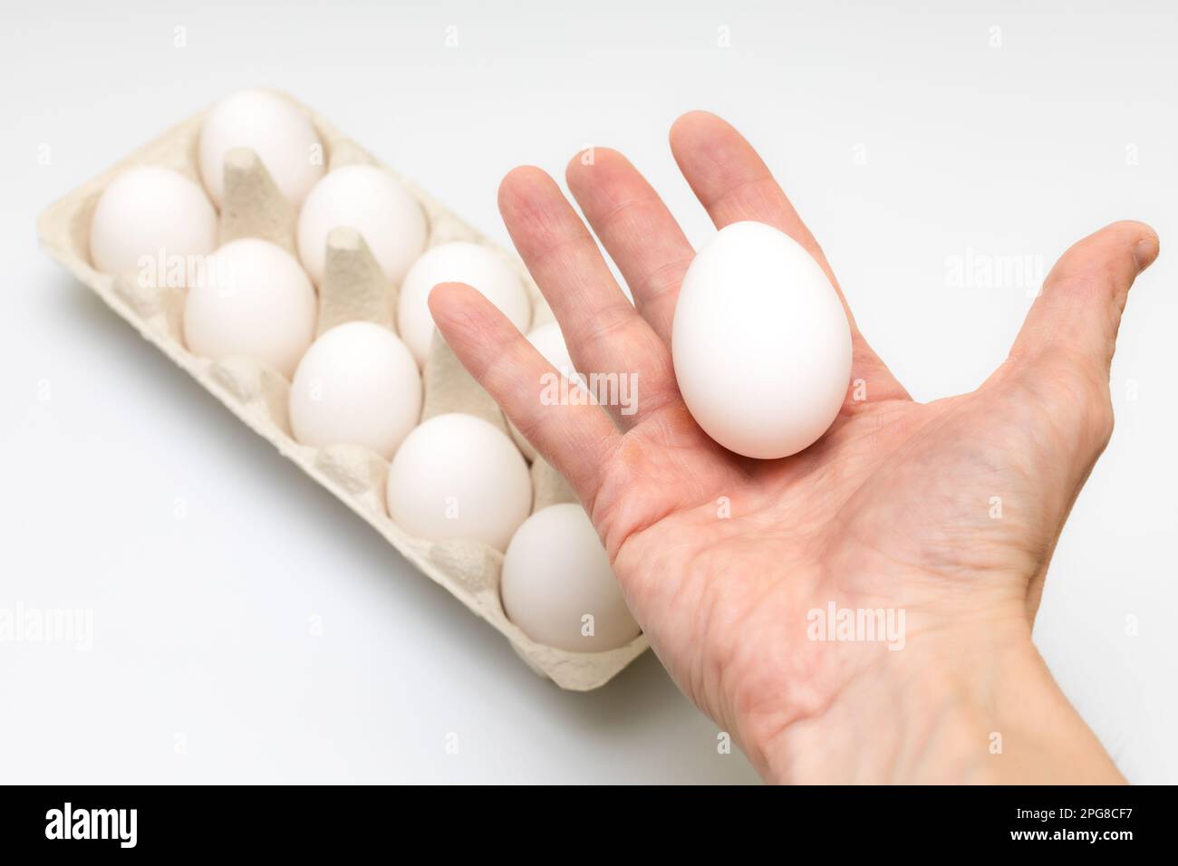 Chicken egg in the palm hi-res stock photography and images - Alamy