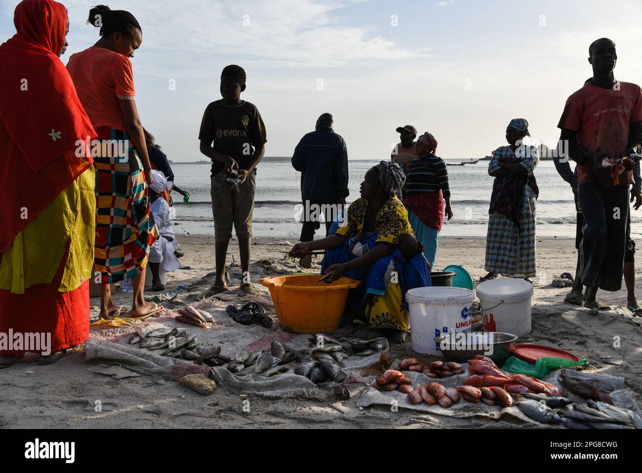 Afrique poisson poisson hi-res stock photography and images - Alamy