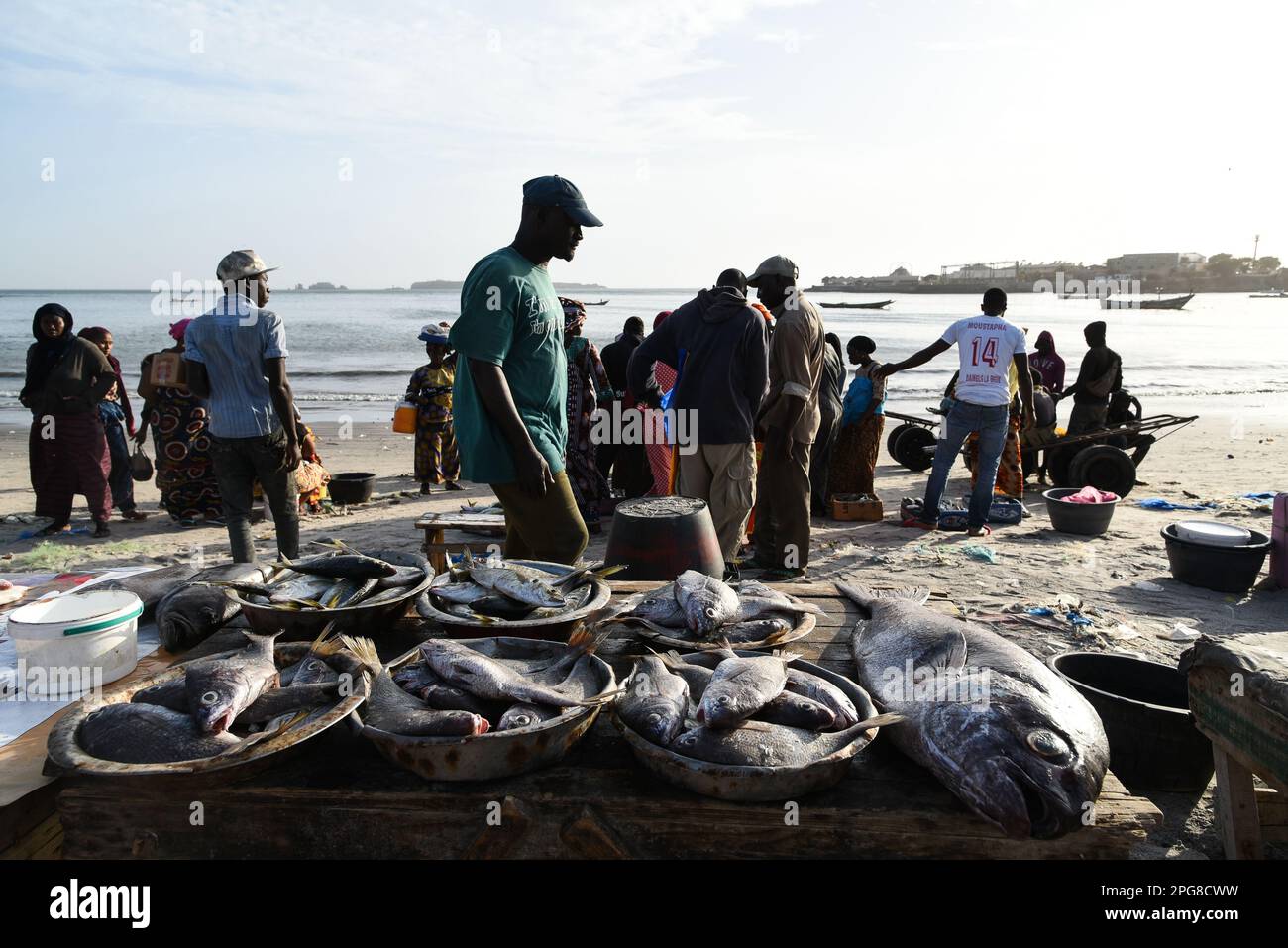 Afrique poisson poisson hi-res stock photography and images - Alamy