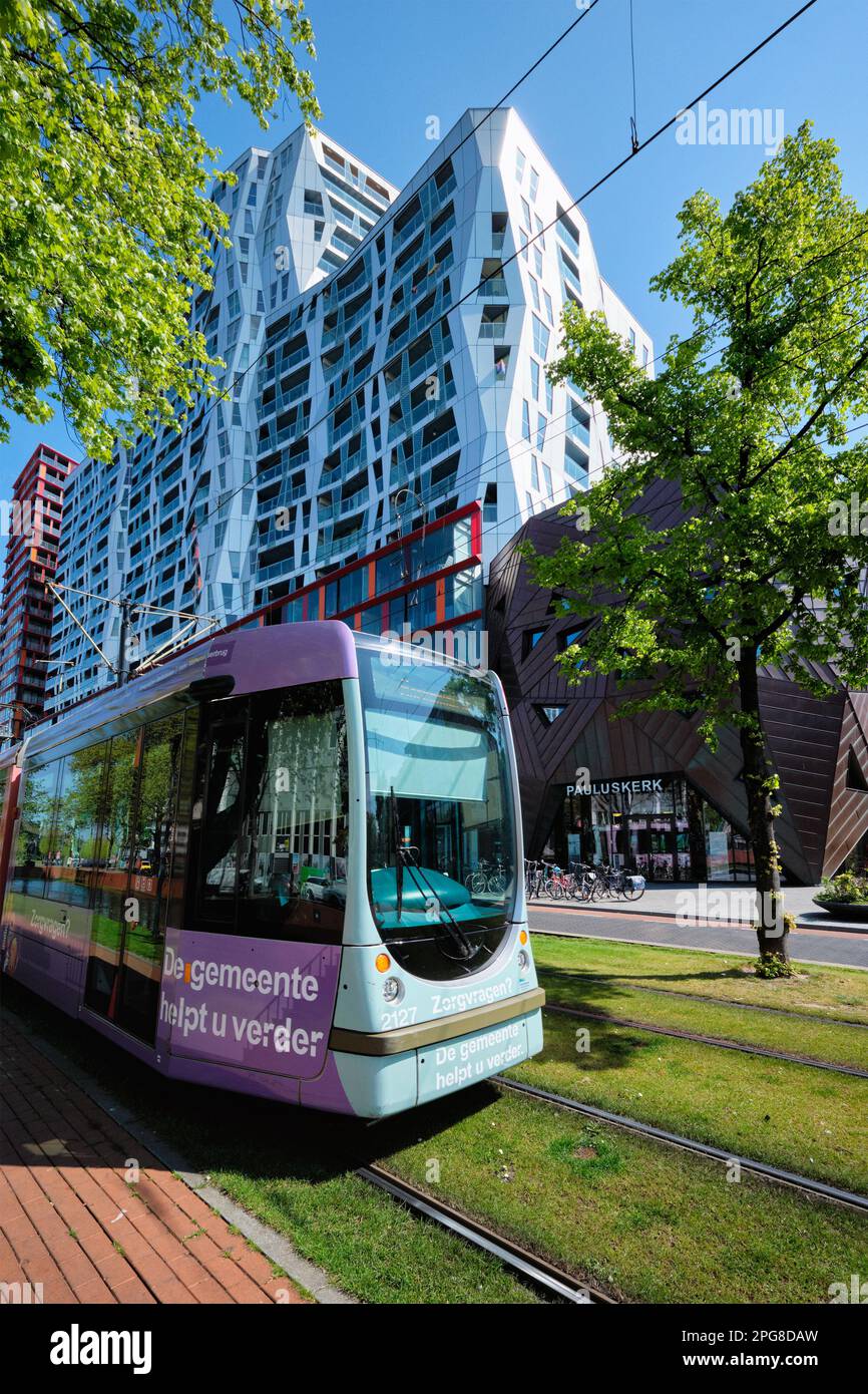 Modern tram in street of Rotterdam, Netherlands Stock Photo - Alamy