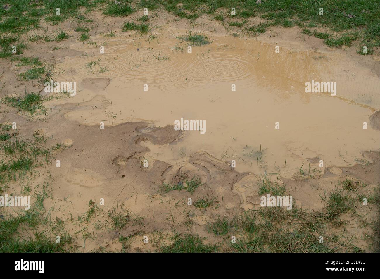Ruislip, UK. 21st March, 2023. A new patch of bubbling liquid has ...