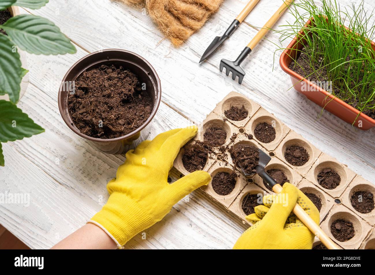 Gardener planting flowers. Female Hands Working with Soil, Natural ...