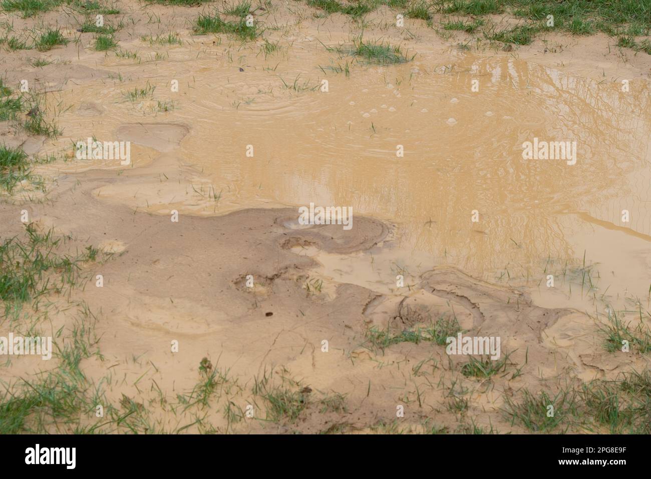 Ruislip, UK. 21st March, 2023. A new patch of bubbling liquid has ...