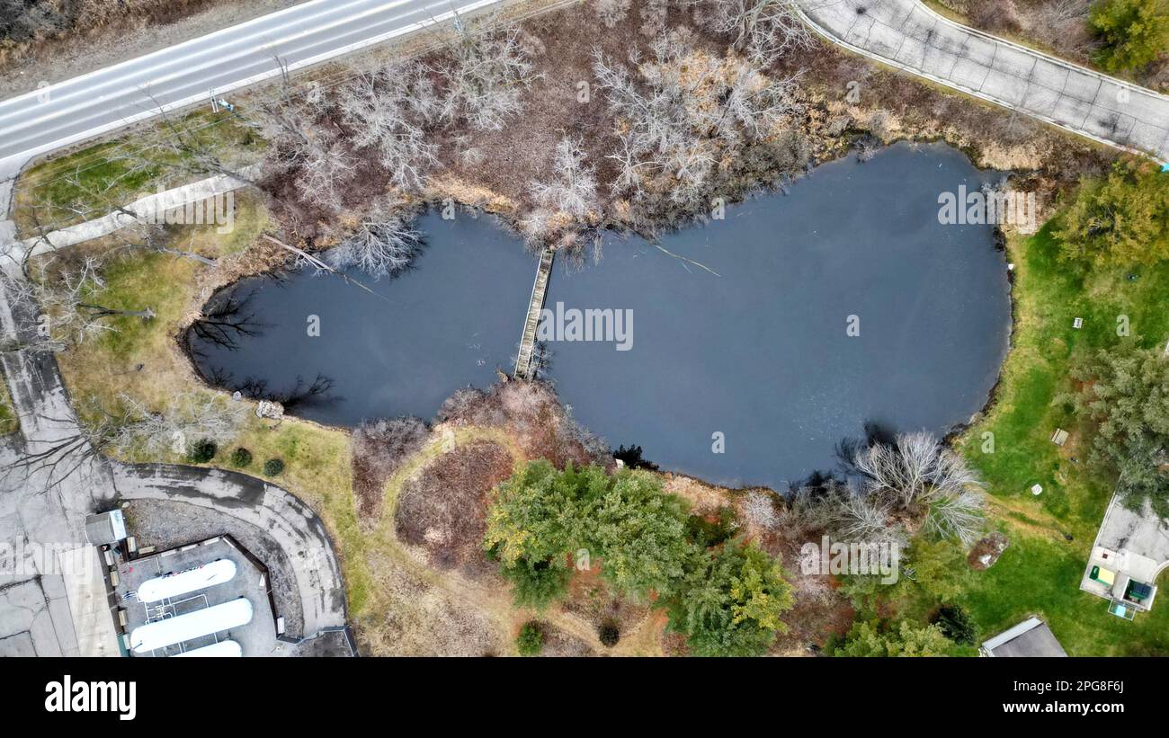 An aerial view of a pristine pond surrounded by lush vegetation and ...
