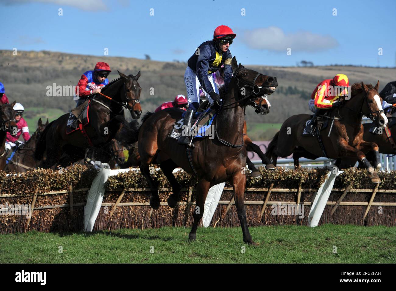 Embassy gardens racecourse hi-res stock photography and images - Alamy