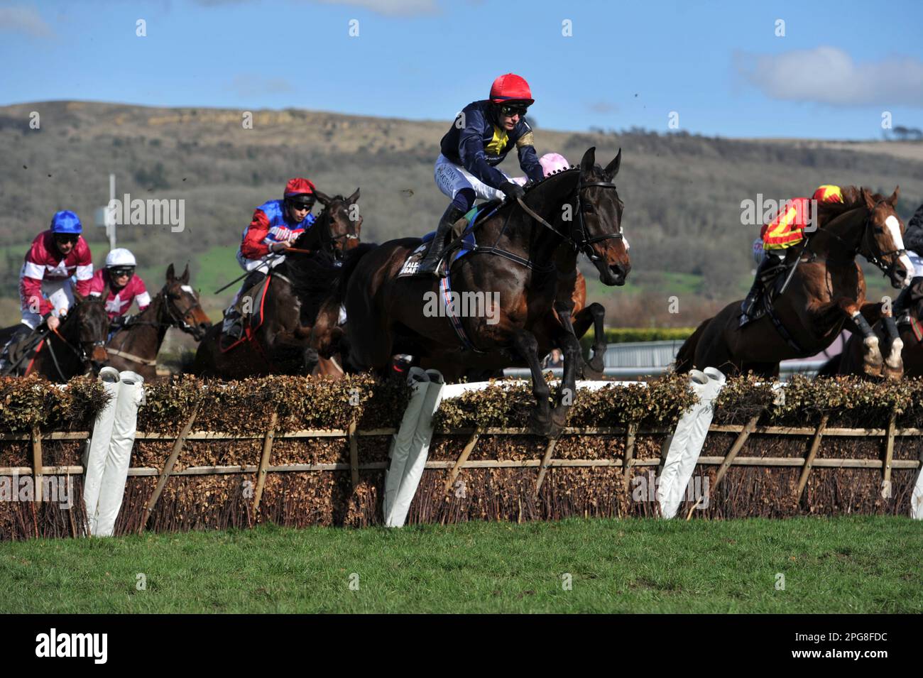 Embassy gardens racecourse hi-res stock photography and images - Alamy