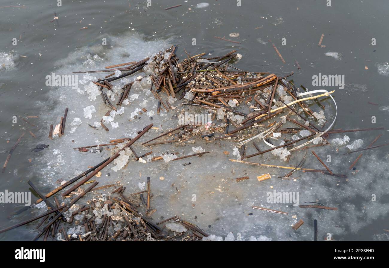 Pieces of melted ice with a lot of harmful environmental waste floats ...