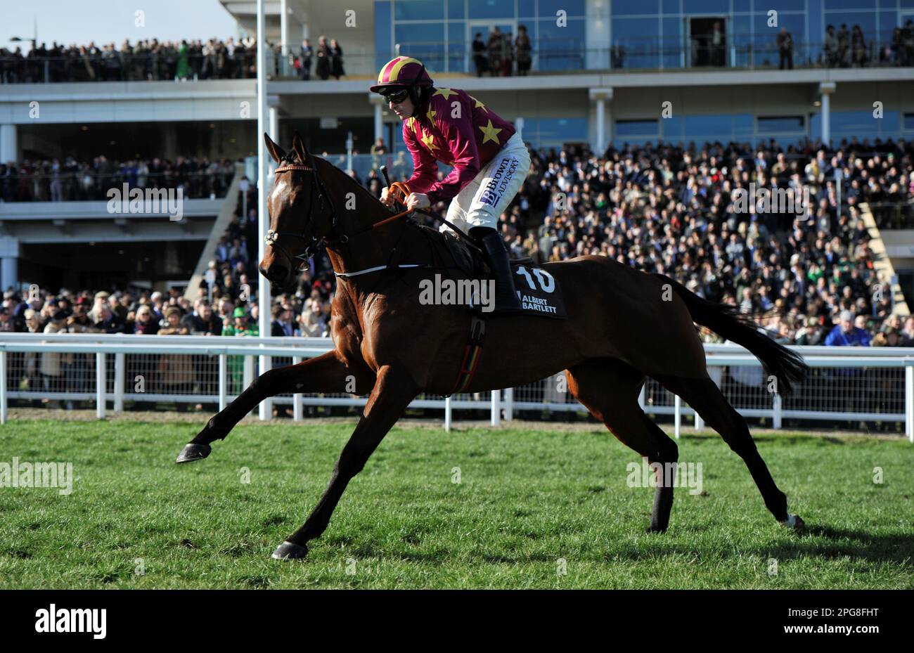 Monty's star horse hi-res stock photography and images - Alamy