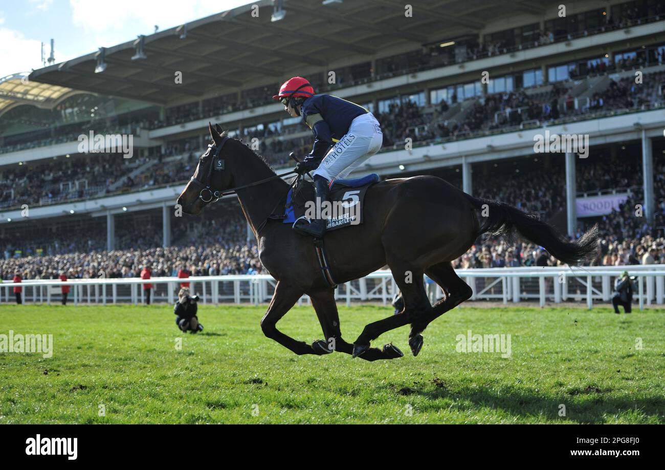 Embassy gardens racecourse hi-res stock photography and images - Alamy