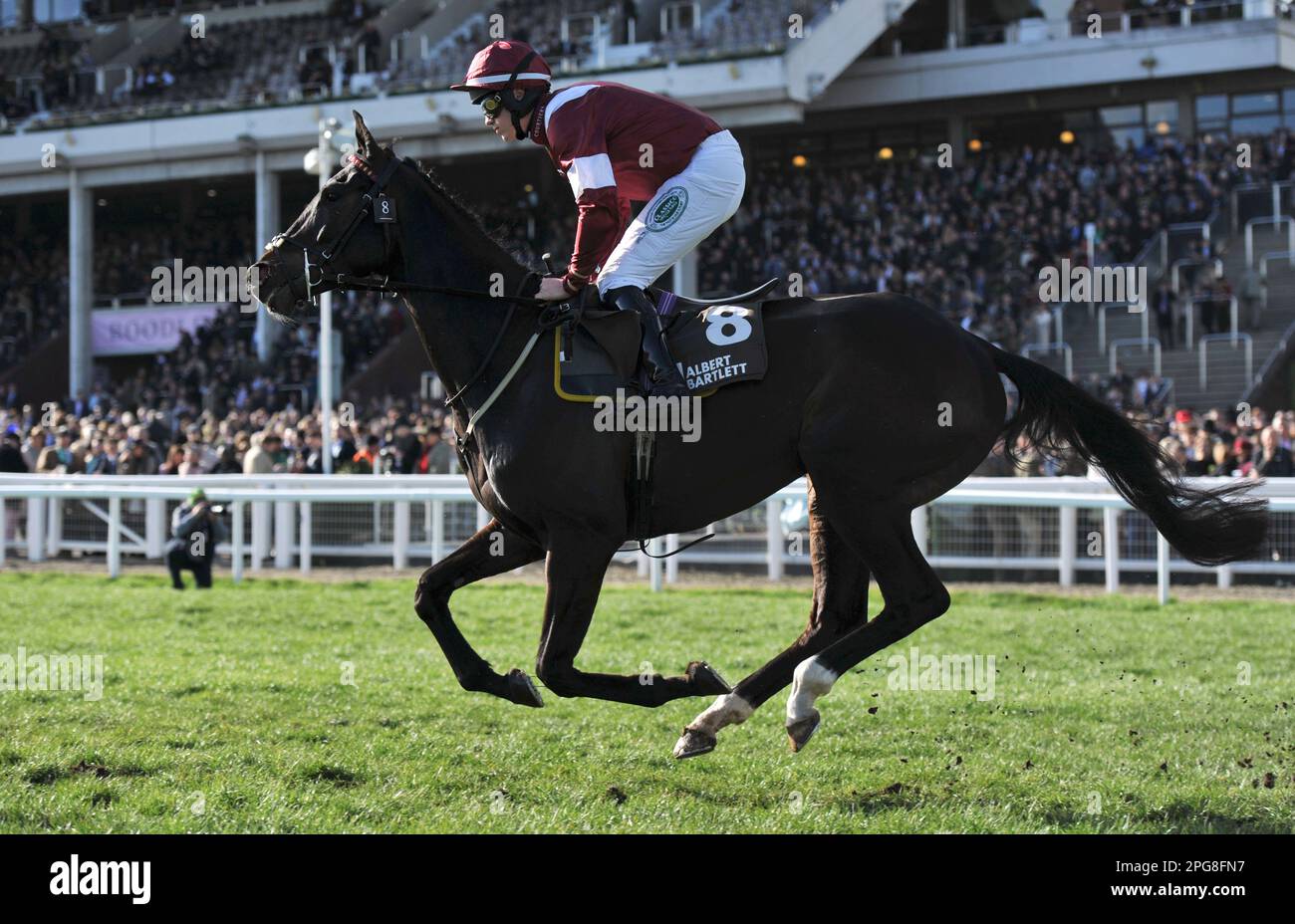 Idalko bihoue ridden hi-res stock photography and images - Alamy