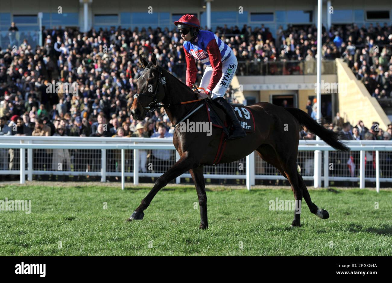 Three card brag racecourse hi-res stock photography and images - Alamy