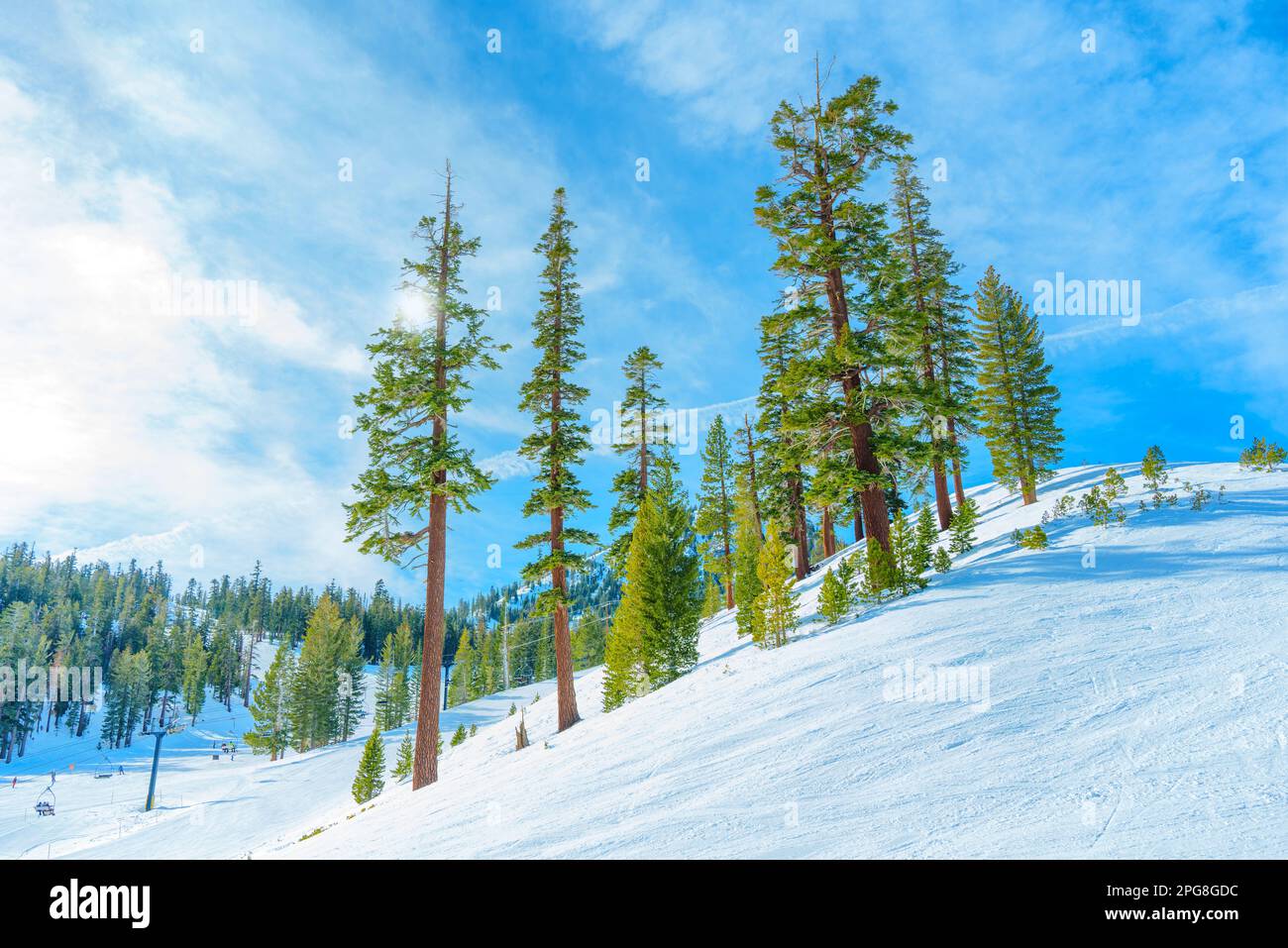 Winter landscape: Beauty of a snowy mountain scene with tall and ...