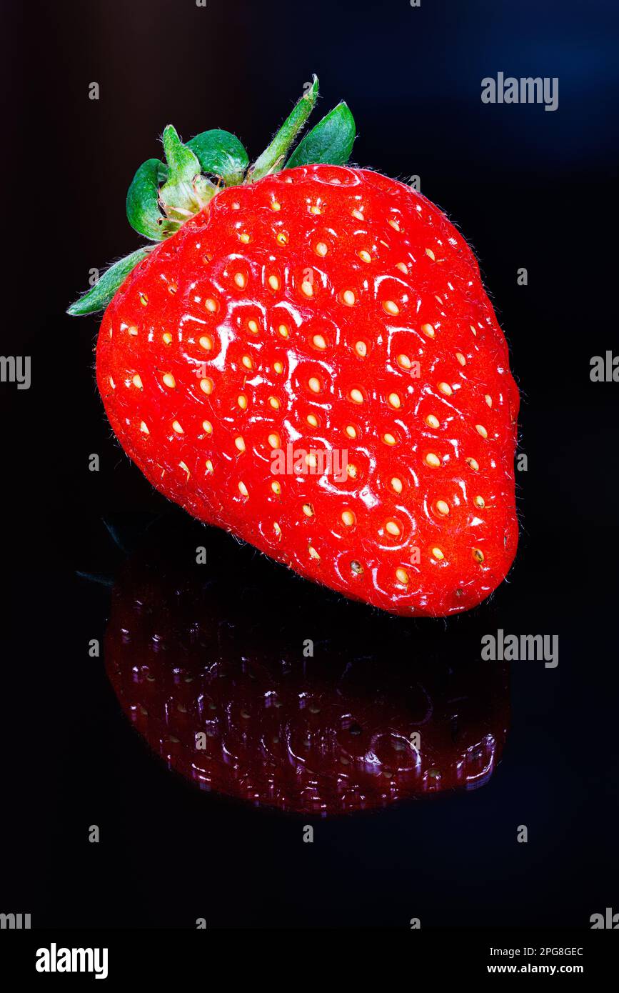 Strawberry photography hi-res stock photography and images - Alamy
