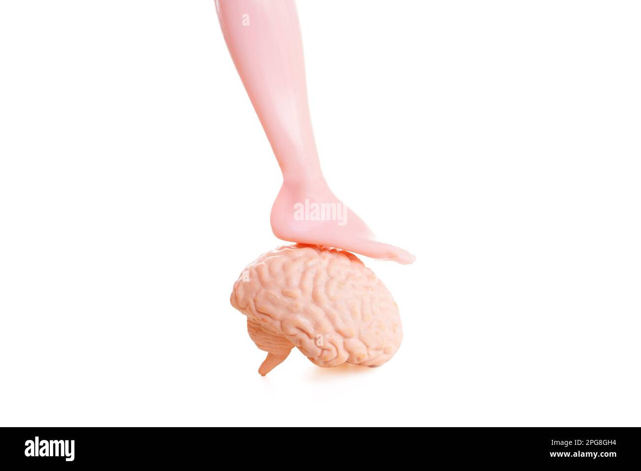 Close-up view of a doll's foot resting on top of a detailed anatomical ...