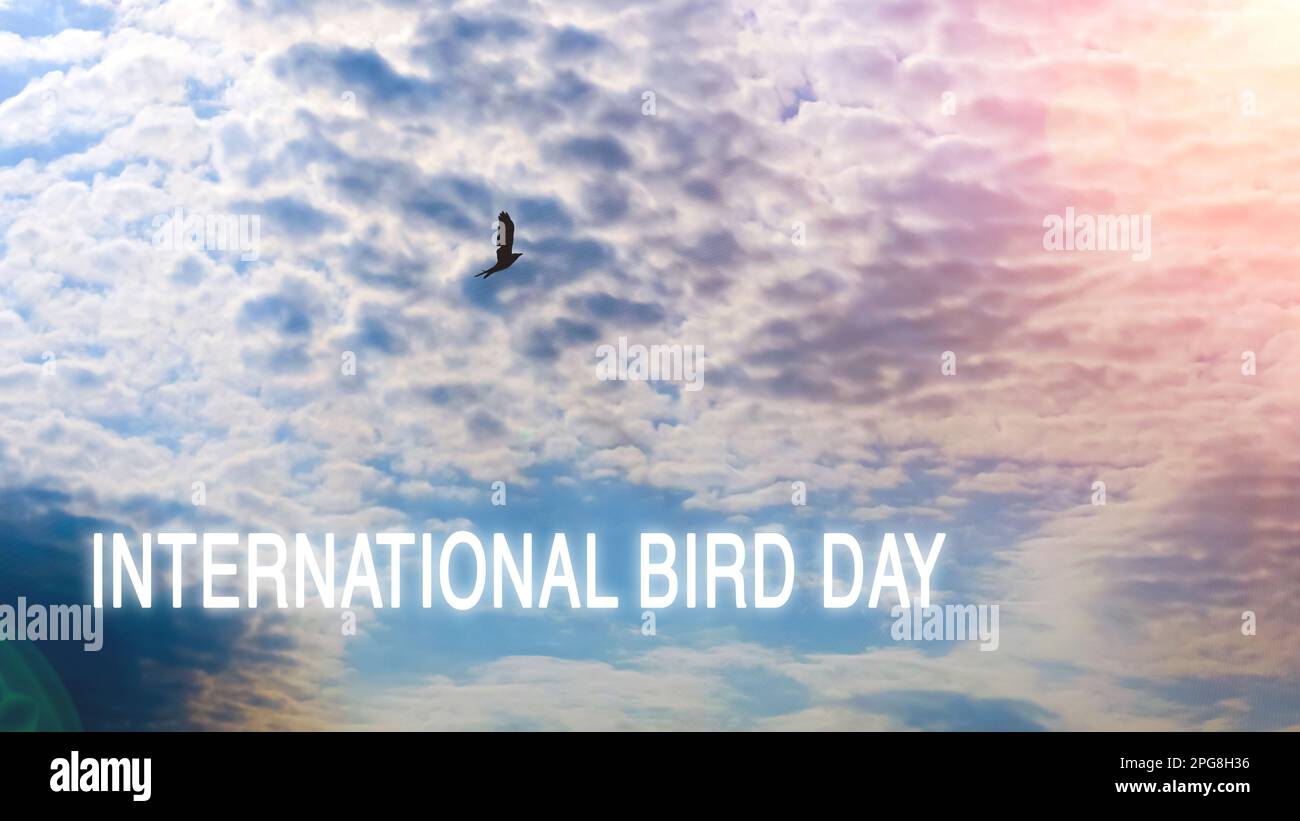 World Bird Day, perfect for world migratory bird day. April 1st Stock ...