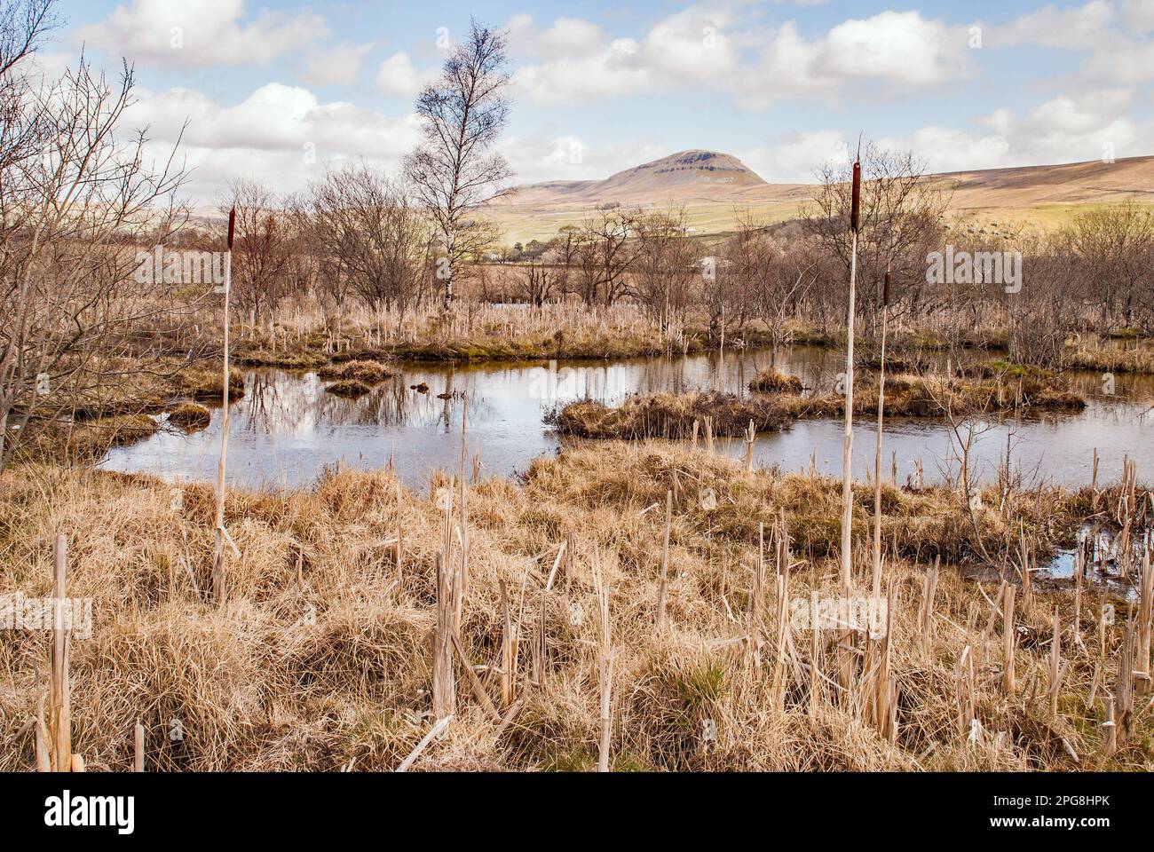 Pond near helwith bridge hi-res stock photography and images - Alamy