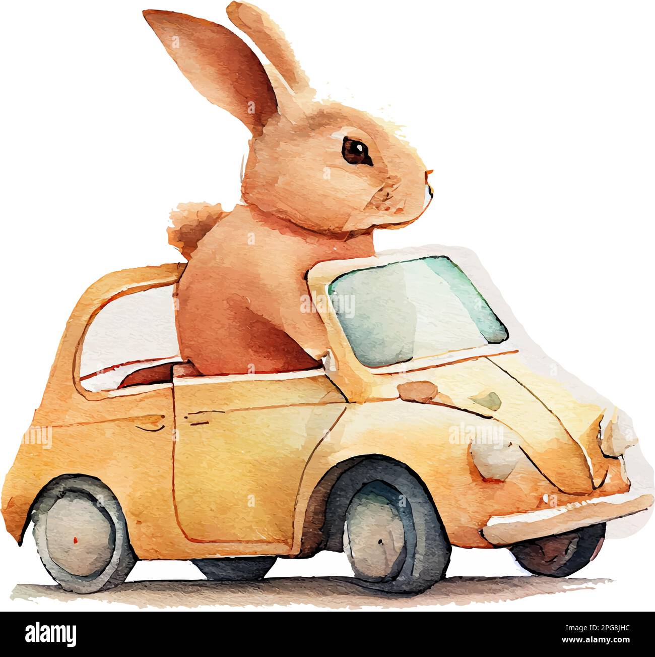 vector illustration of watercolor rabbit on car on white isotate ...