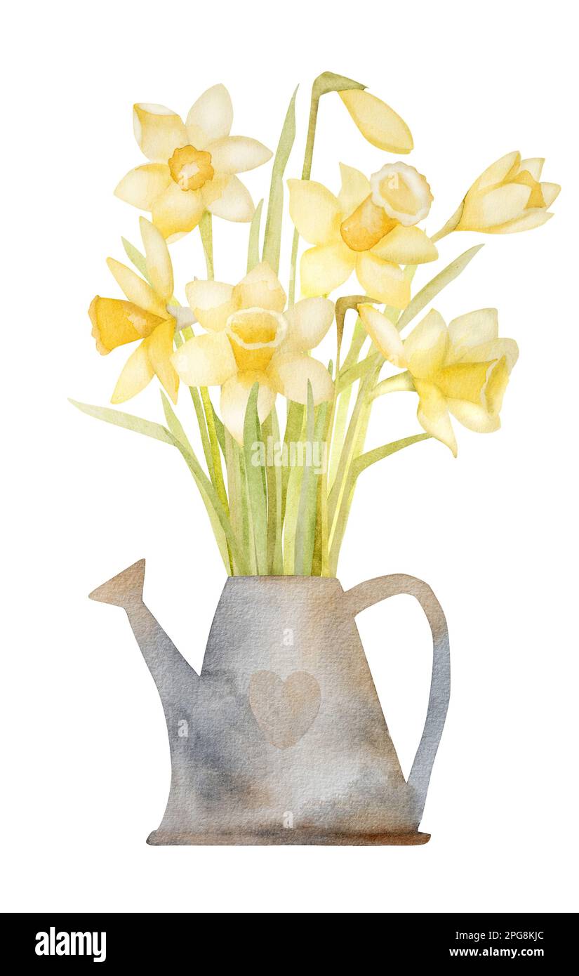 Spring flowers watercolor paintings Stock Photo - Alamy