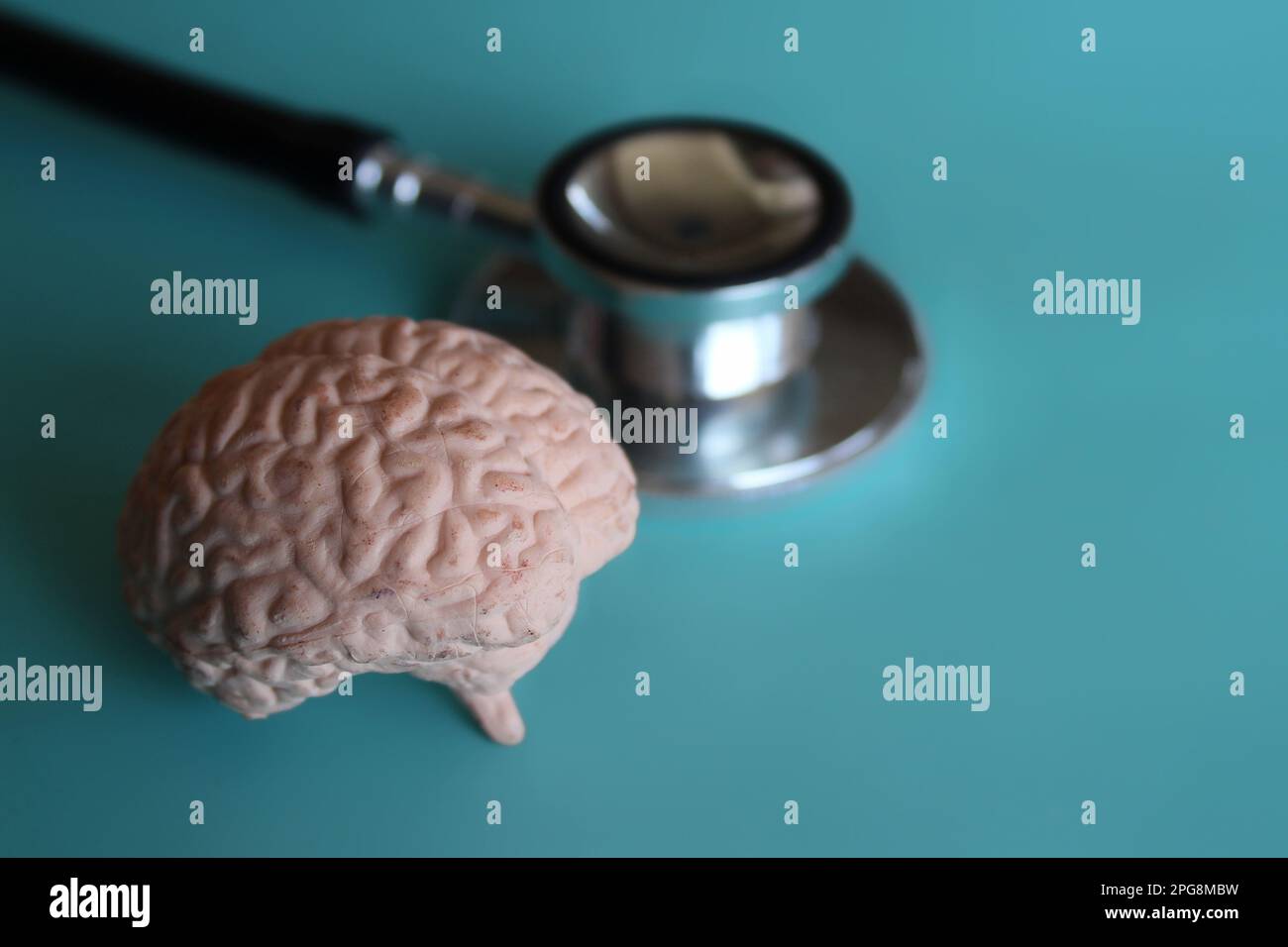 Human brain model and stethoscope. Medical and healthcare concept Stock ...