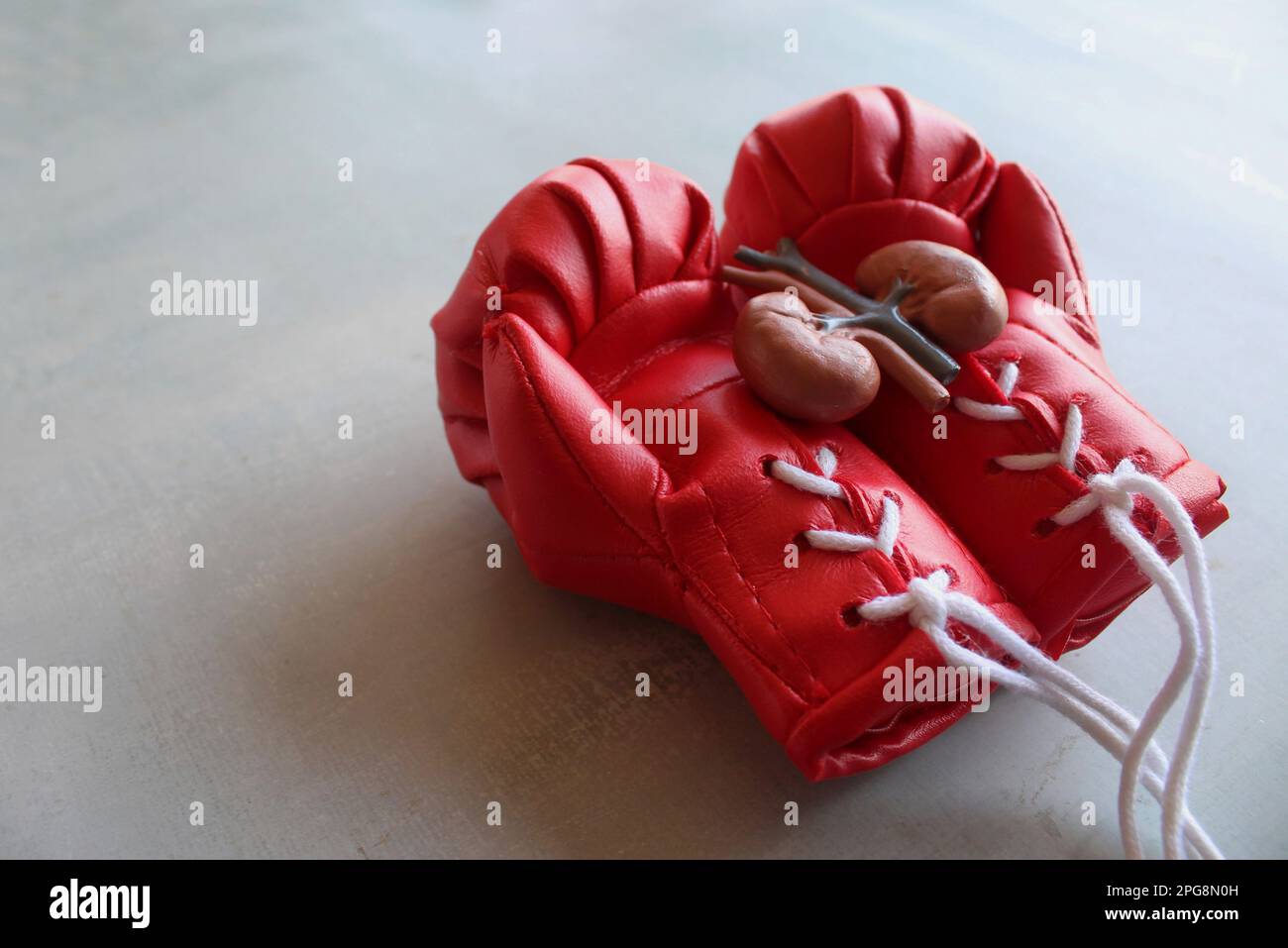 Kidney model on top of red boxing gloves with copy space. Fight kidney ...