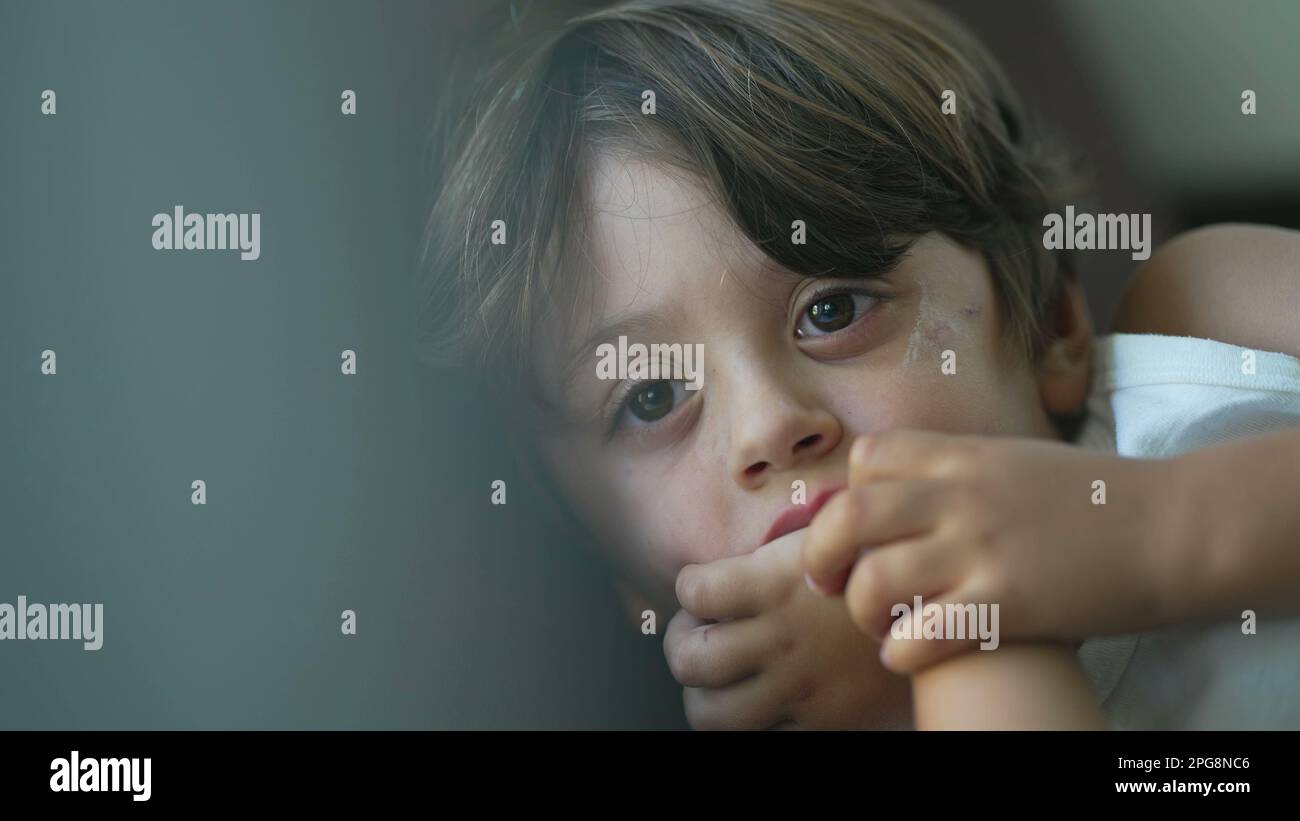 One concentrated child portrait face watching media cartoons off camera ...