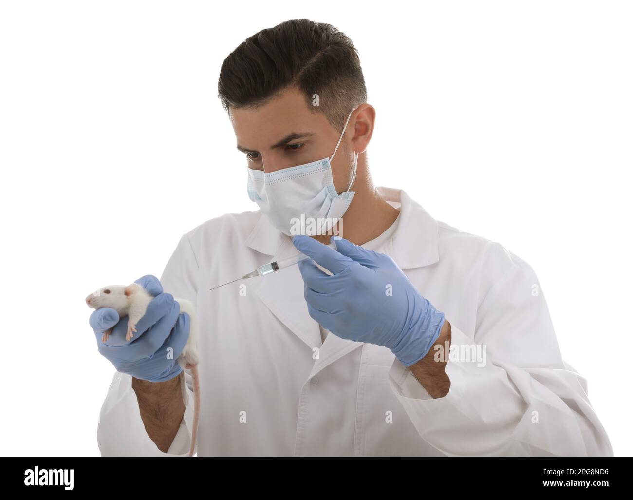 Scientist with syringe and rat on white background. Animal testing ...