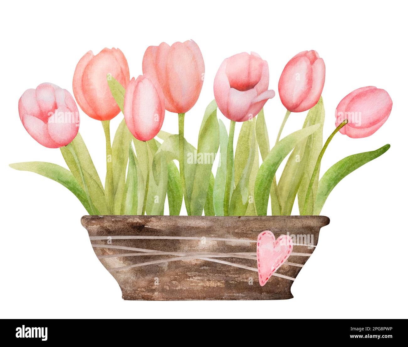 Spring flowers watercolor paintings Stock Photo - Alamy