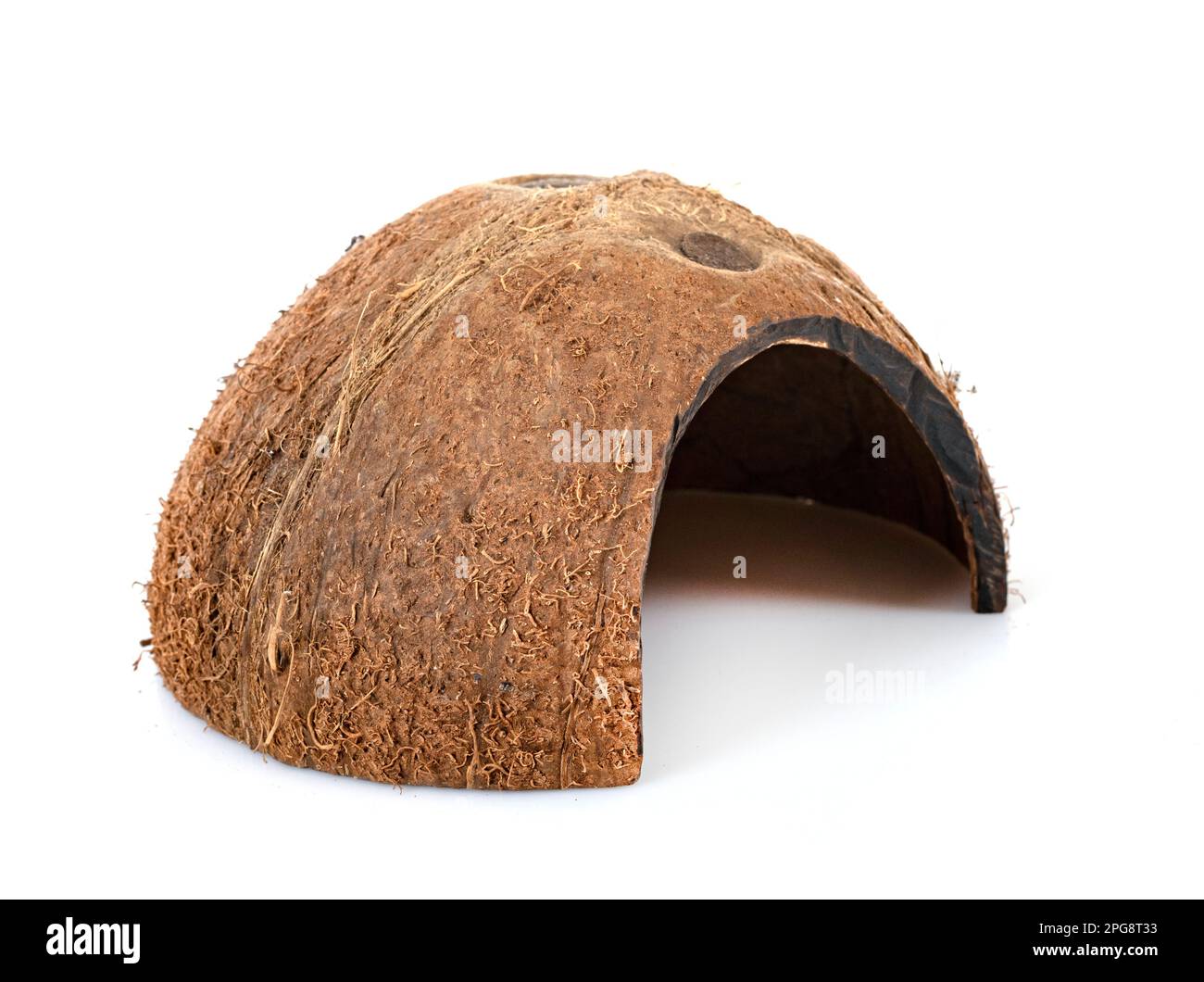 coconut shelter in front of white background Stock Photo - Alamy