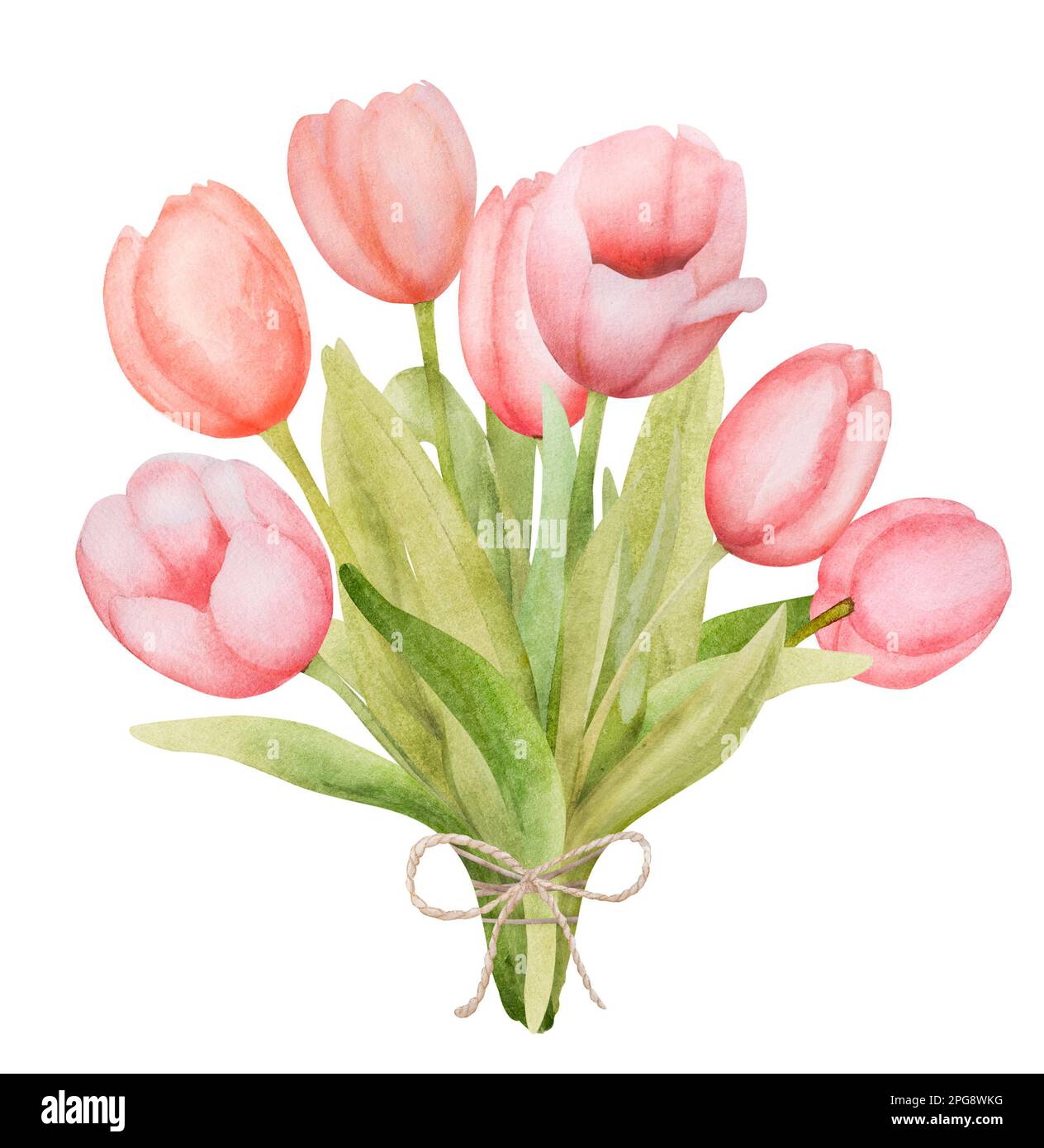 Spring flowers watercolor paintings Stock Photo - Alamy