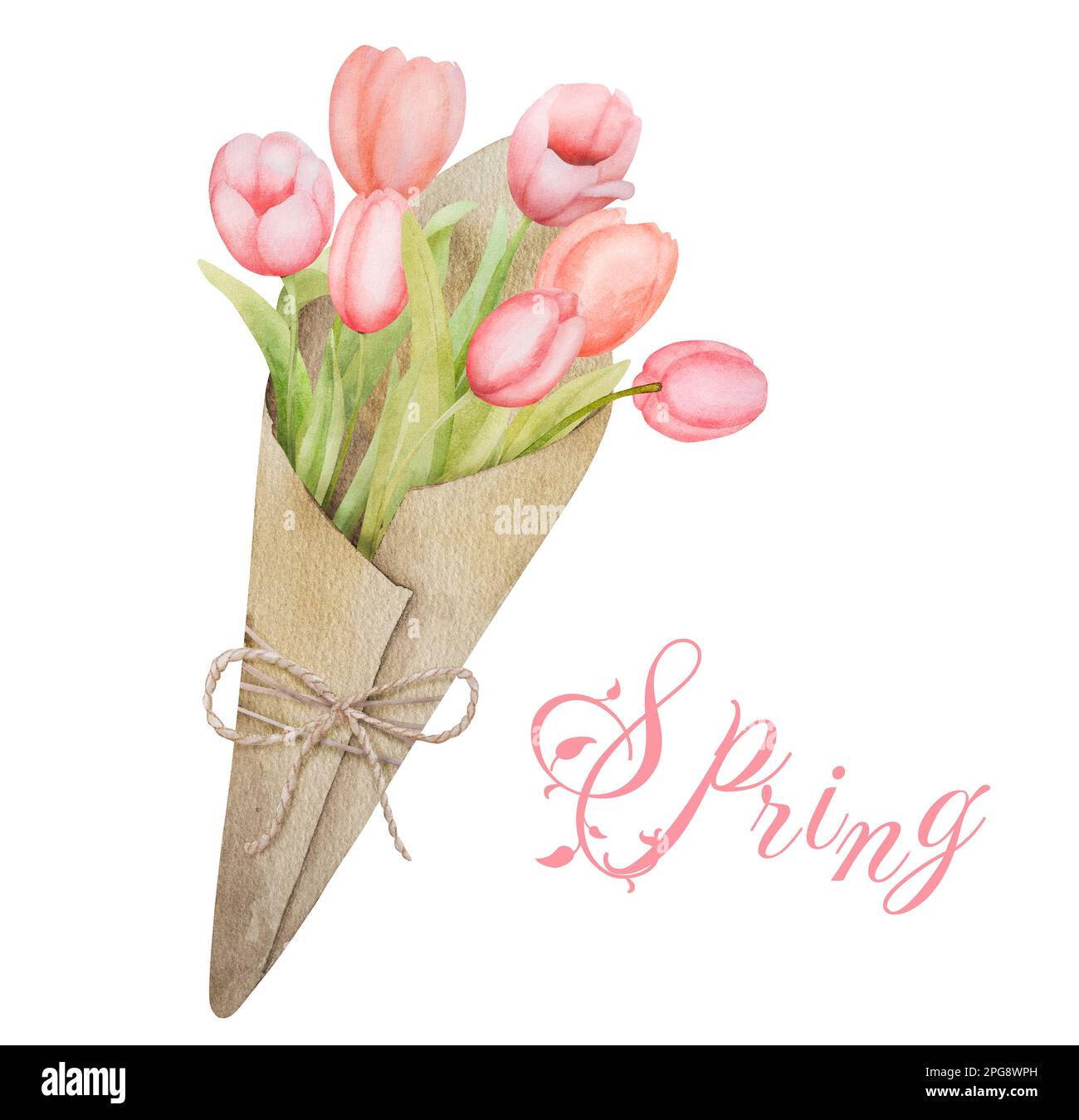 Spring flowers watercolor paintings Stock Photo - Alamy
