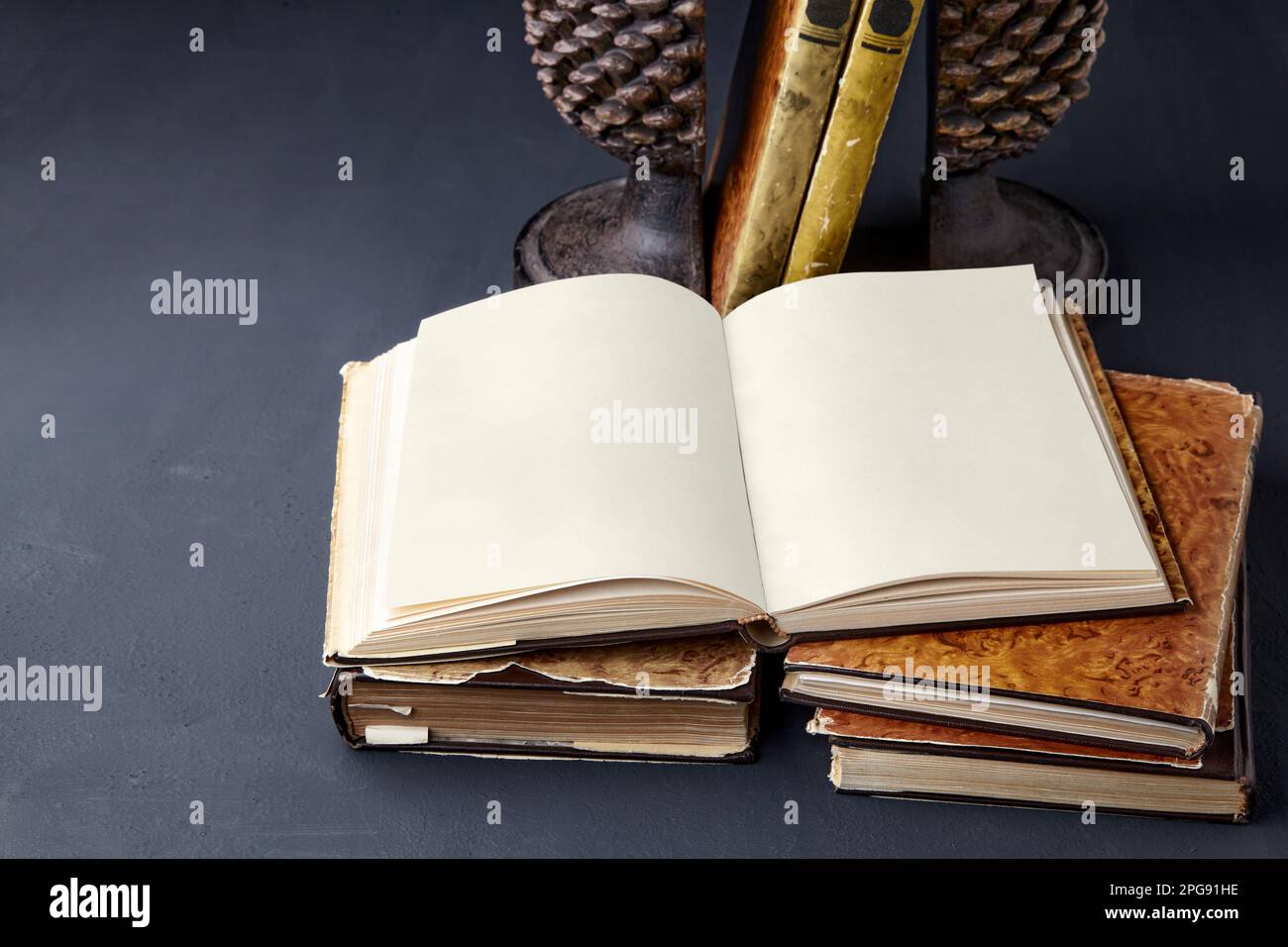 Blank Open Book On Table