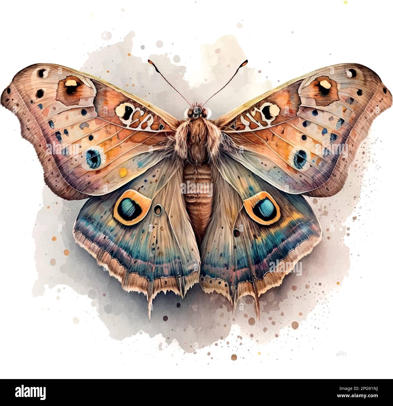 Moth illustration Watercolor Hand drawn butterfly logo design Stock ...