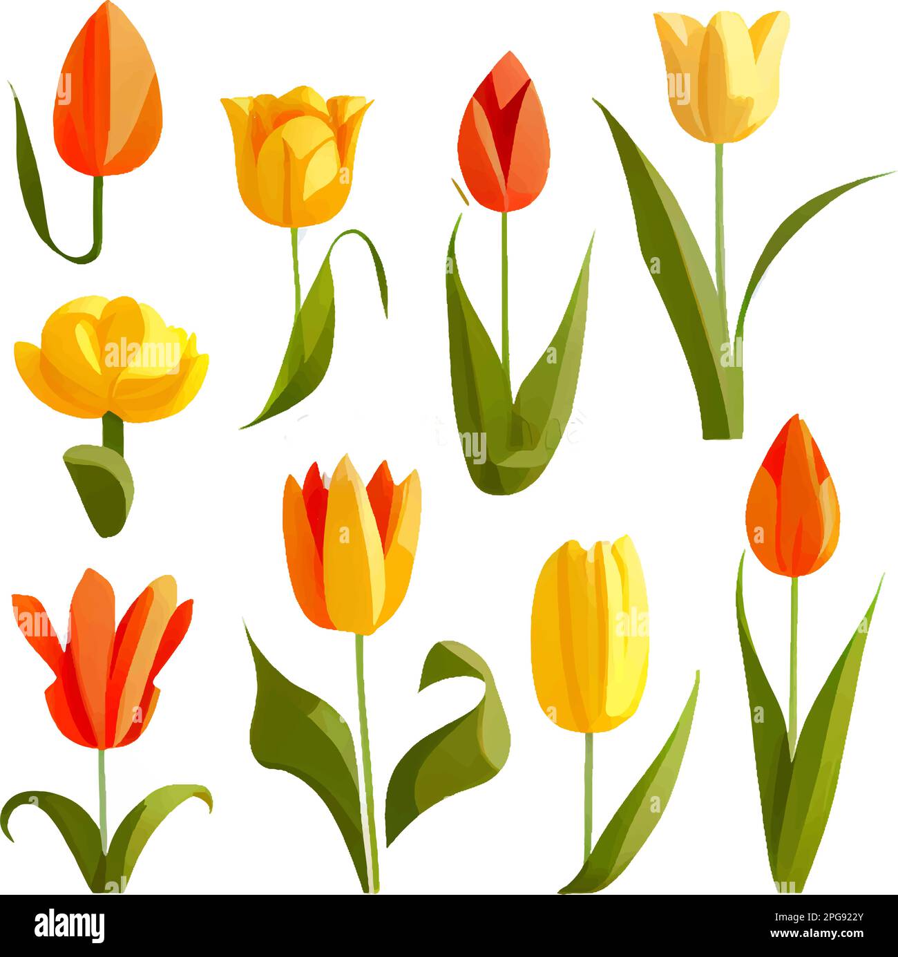 set vector illustration of bloming flowers isolate background International Women's Day and ...