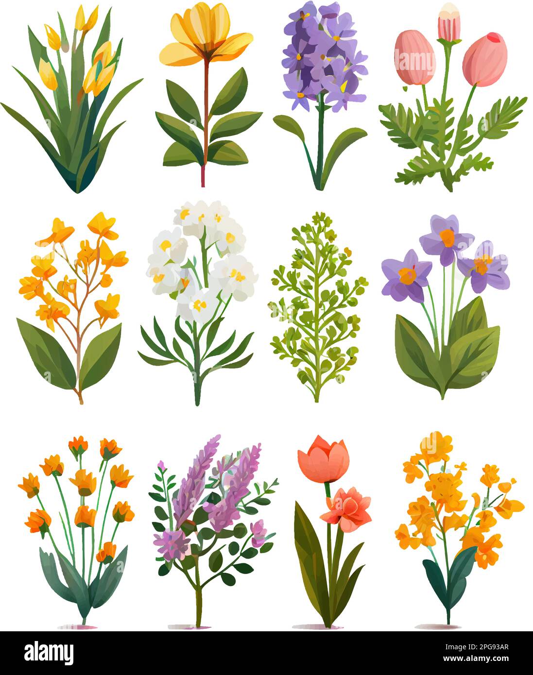 set vector illustration of bloming flowers isolate background International Women's Day and ...
