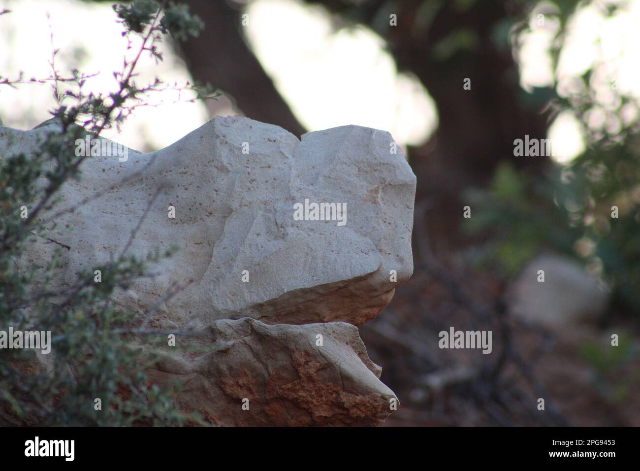 Utahn nature hi-res stock photography and images - Alamy