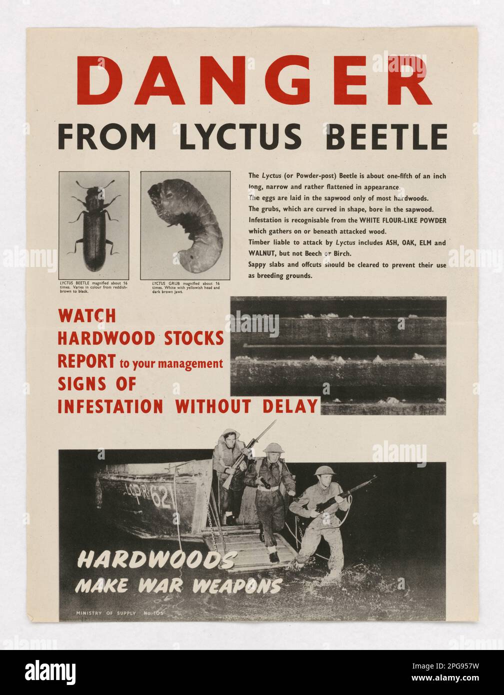 Danger From Lyctus Beetle. 1942 - 1945. Office for Emergency Management ...