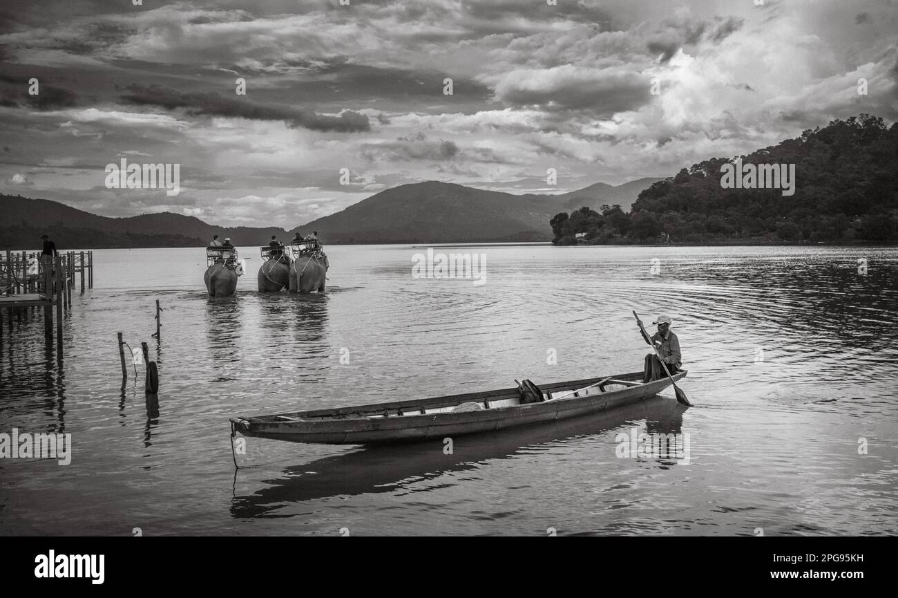 Vietnamese flora and fauna hi-res stock photography and images - Alamy
