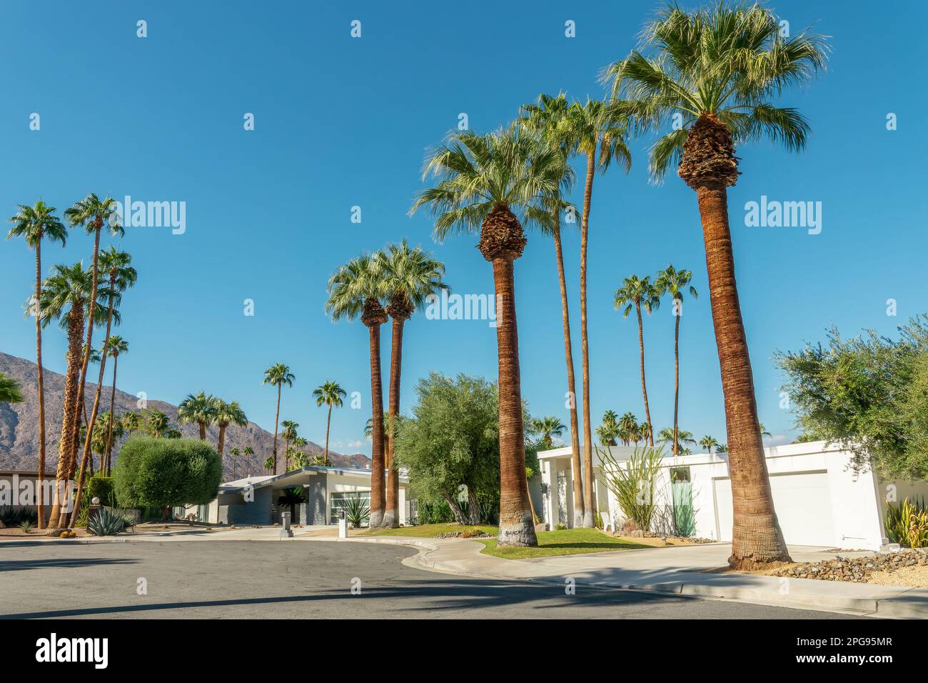 Modern mid-century houses architecture and palm trees in Palm Springs ...