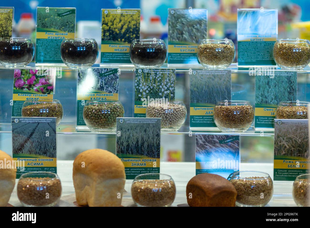 Grodno, Belarus - March 16, 2023: Glass cups with different types of ...