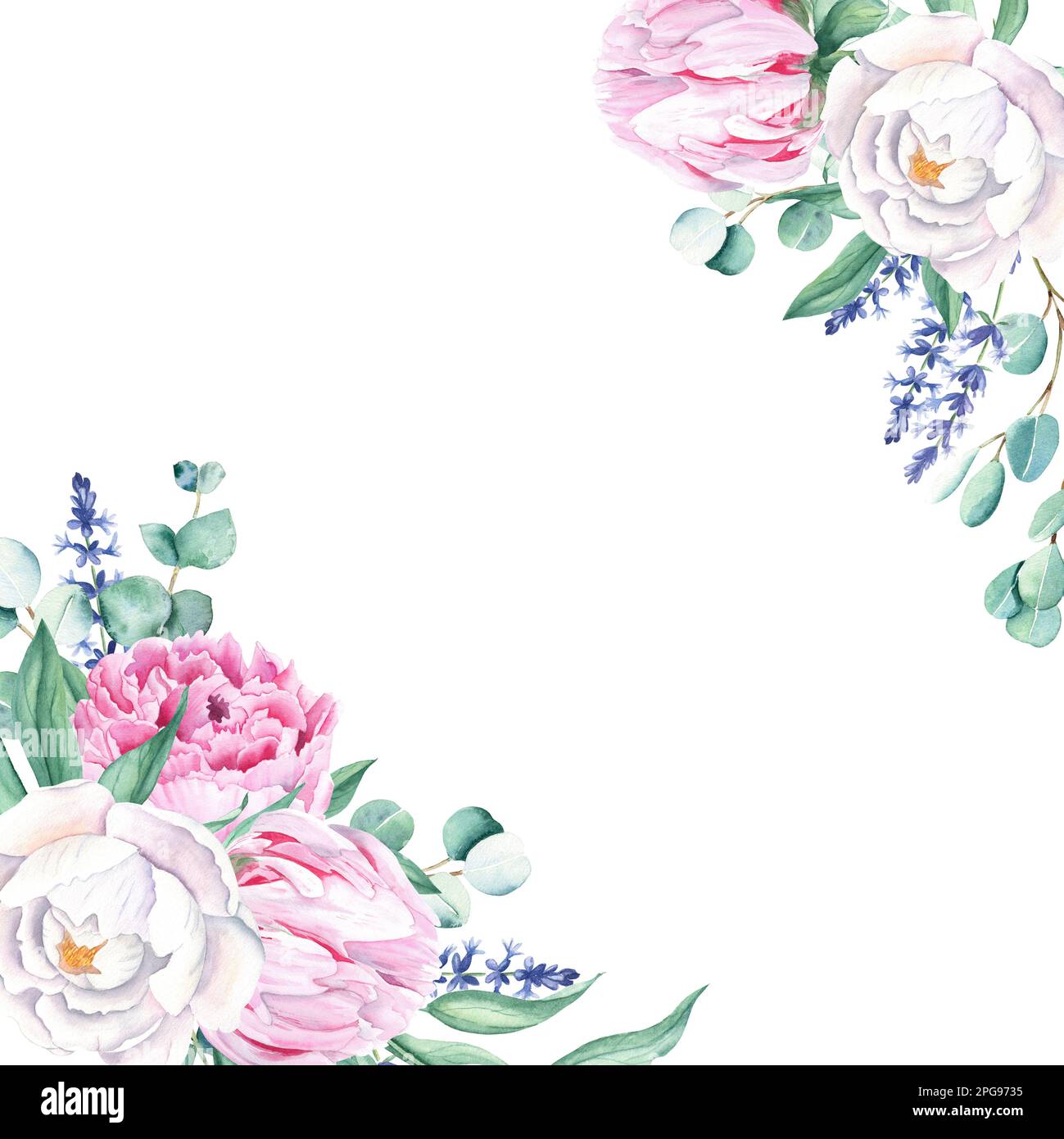 Watercolor frame, pink and white peonies, eucalyptus and lavender ...