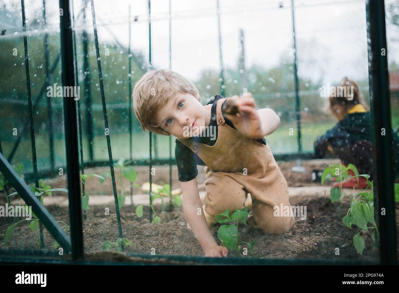 Little children taking care of greenhouse and plants Stock Photo - Alamy