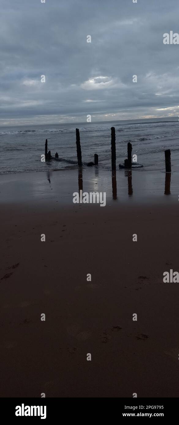 A tranquil beach scene featuring a blue body of water gently lapping ...