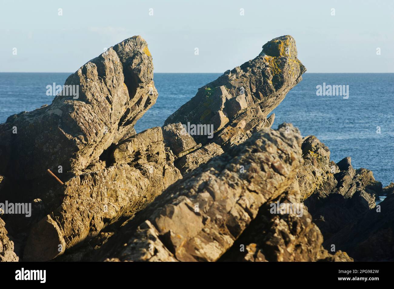 350 millions years ago 541 252 million years ago hi-res stock ...