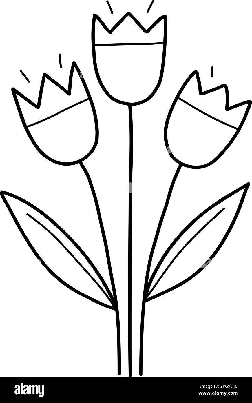 Tulip spring flower vector doodle illustration. Floral cute outline ...