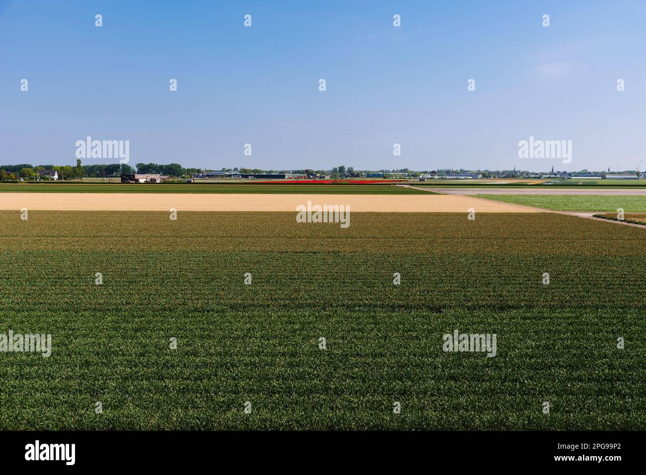 Keukenhof aerial hi-res stock photography and images - Alamy